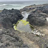 Devil's Churn, Trail of the Restless Way, and Captain Cook Loop, Oregon ...
