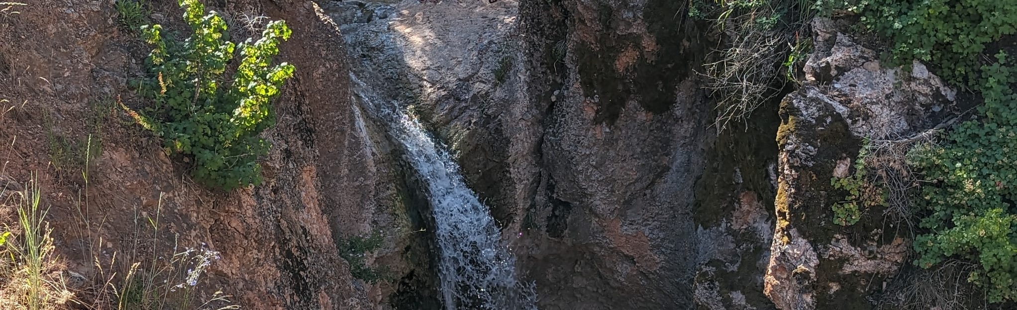 Grotto Falls Trail: 790 Reviews, Map - Utah | AllTrails