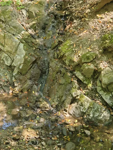 Best Hikes and Trails in Don Castro Regional Recreation Area | AllTrails