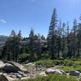 Summit Lake Trail, California - 576 Reviews, Map | AllTrails