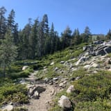 Summit Lake Trail, California - 576 Reviews, Map | AllTrails