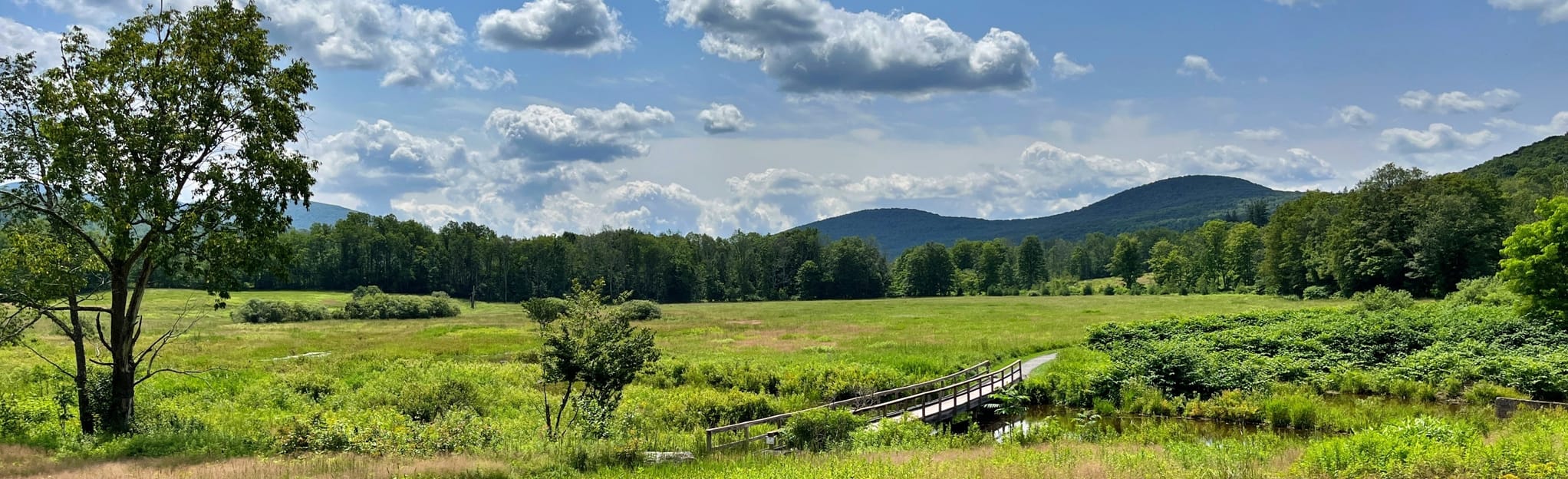 The Windham Path, New York - 506 Reviews, Map | AllTrails