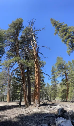 Best Hot Springs Trails in Lone Pine | AllTrails