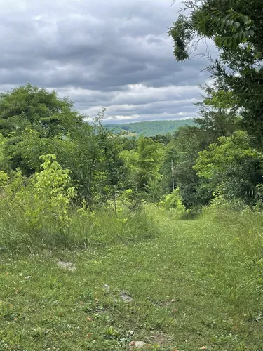 Best Hikes and Trails in Morning View Heritage Area | AllTrails