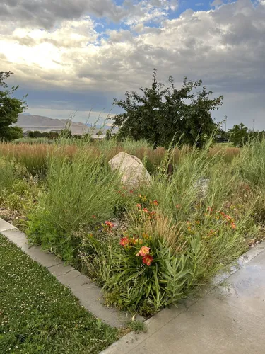 Best Hikes and Trails in Wardle Fields Regional Park | AllTrails