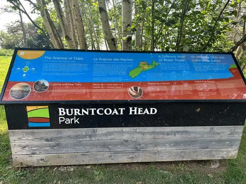 Best Hikes and Trails in Burntcoat Head | AllTrails