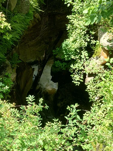 Best Hikes and Trails in Natural Bridge State Park | AllTrails