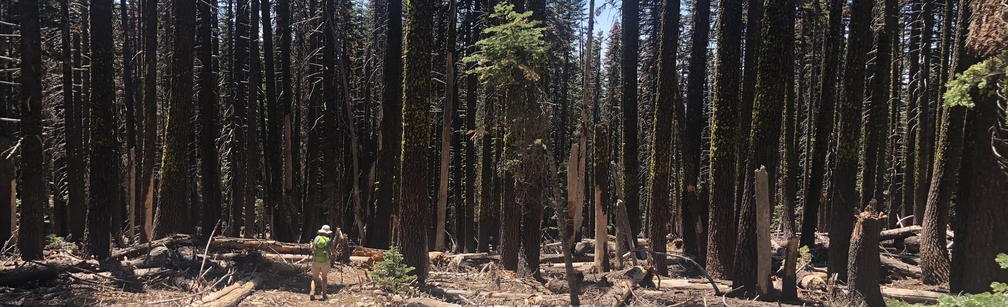 Magee Peak, California - 29 Reviews, Map | AllTrails