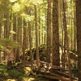 Spectrum Lake Trail, British Columbia, Canada - 197 Reviews, Map ...