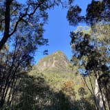 Trachyte Circuit, Queensland, Australia - 226 Reviews, Map | AllTrails