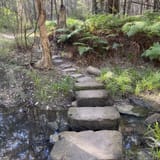 Trachyte Circuit, Queensland, Australia - 226 Reviews, Map | AllTrails