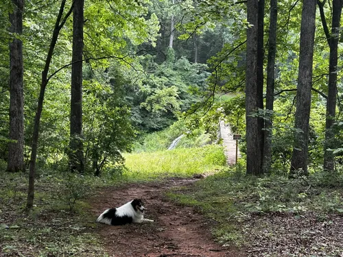 Best Hikes and Trails in Sweet Briar Trail System | AllTrails