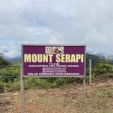 Gunung Serapi, Sarawak, Malaysia - 59 Reviews, Map | AllTrails