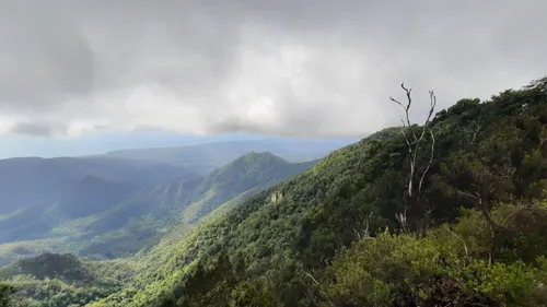 2023 Best Camping Trails in Paluma Range National Park | AllTrails