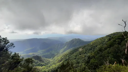 2023 Best Camping Trails in Paluma Range National Park | AllTrails