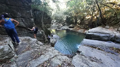 2023 Best Camping Trails in Paluma Range National Park | AllTrails