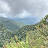 Gunung Serapi, Sarawak, Malaysia - 59 Reviews, Map | AllTrails