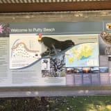 Bouddi Coastal Walk: Little Beach to Putty Beach, New South Wales ...