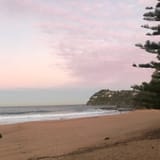 Bouddi Coastal Walk: Little Beach to Putty Beach, New South Wales ...
