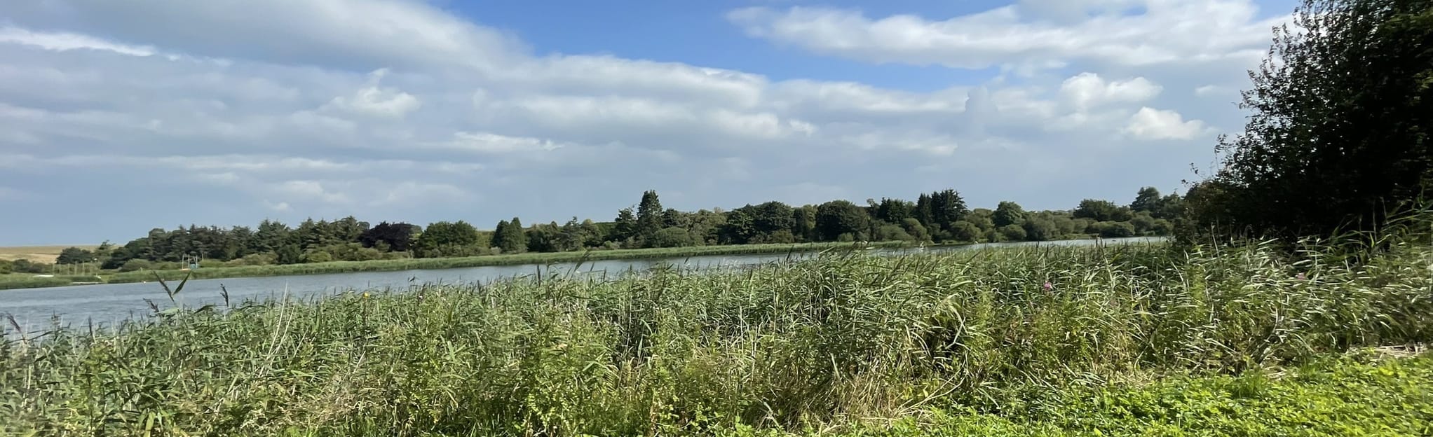 Forfar Loch Circular Walk: 52 Reviews, Map - Angus, Scotland | AllTrails