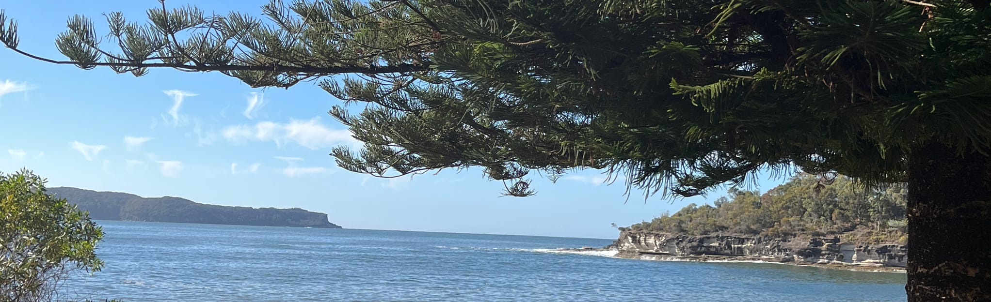 Umina Beach to Elephant Rock via Warrah Lookout, 332 Fotos - New South ...