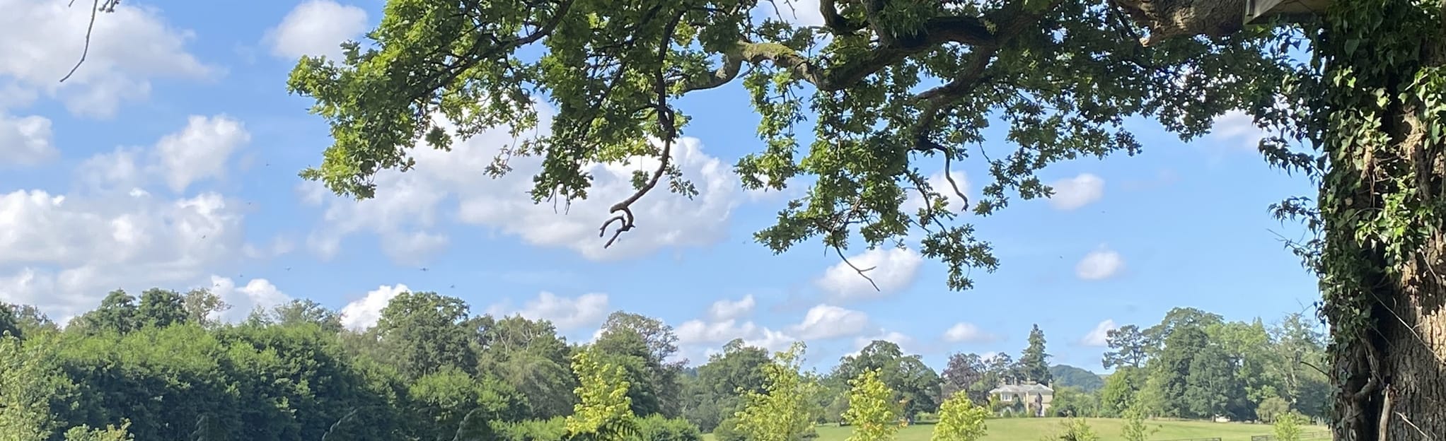 Woolton Hill and East Woodhay Circular: 21 foto's - Hampshire, Engeland ...