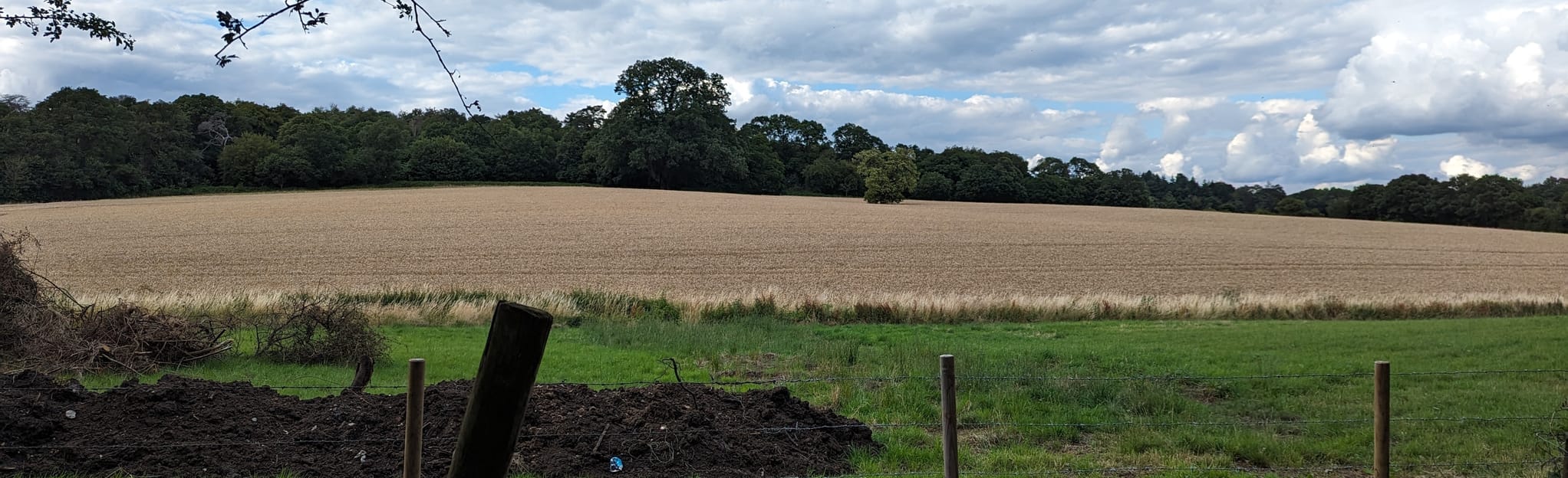 Trent Park Extended Circular, London, England - 32 Reviews, Map | AllTrails