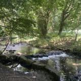 Beamish Park and Causey Arch Circular, County Durham, England - 402 ...