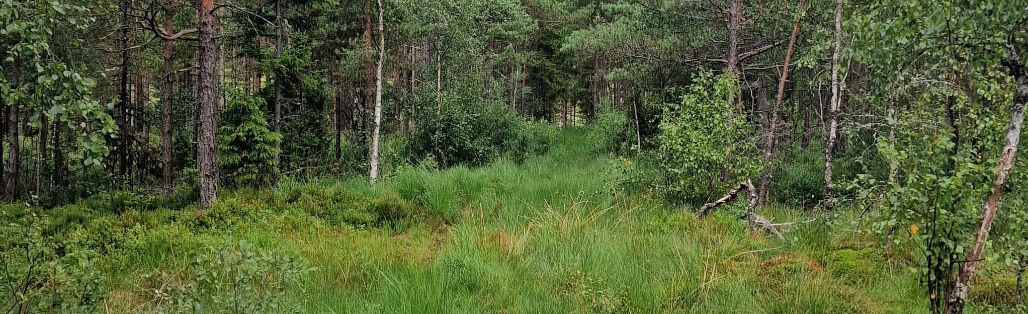 Öxabäck to Långås: 3 Reviews, Map - Västra Götaland, Sweden | AllTrails