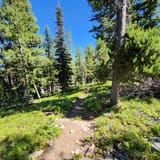 Trapper Peak Trail, Montana - 303 Reviews, Map | AllTrails