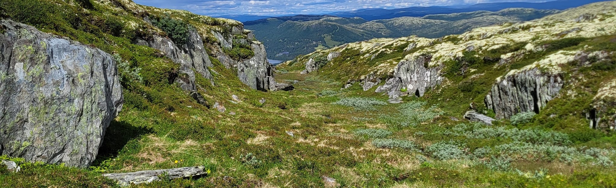 Gråvola aus Savalen: 2 Fotos - Innlandet, Norwegen | AllTrails