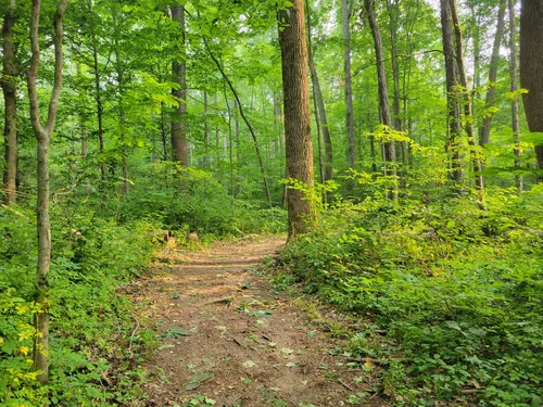 10 Best Trails and Hikes in Bloomington | AllTrails