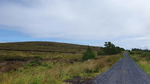 Best Walking Trails in Ballycastle | AllTrails