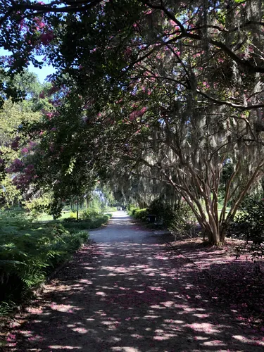 Best Hikes and Trails in Hampton Park | AllTrails