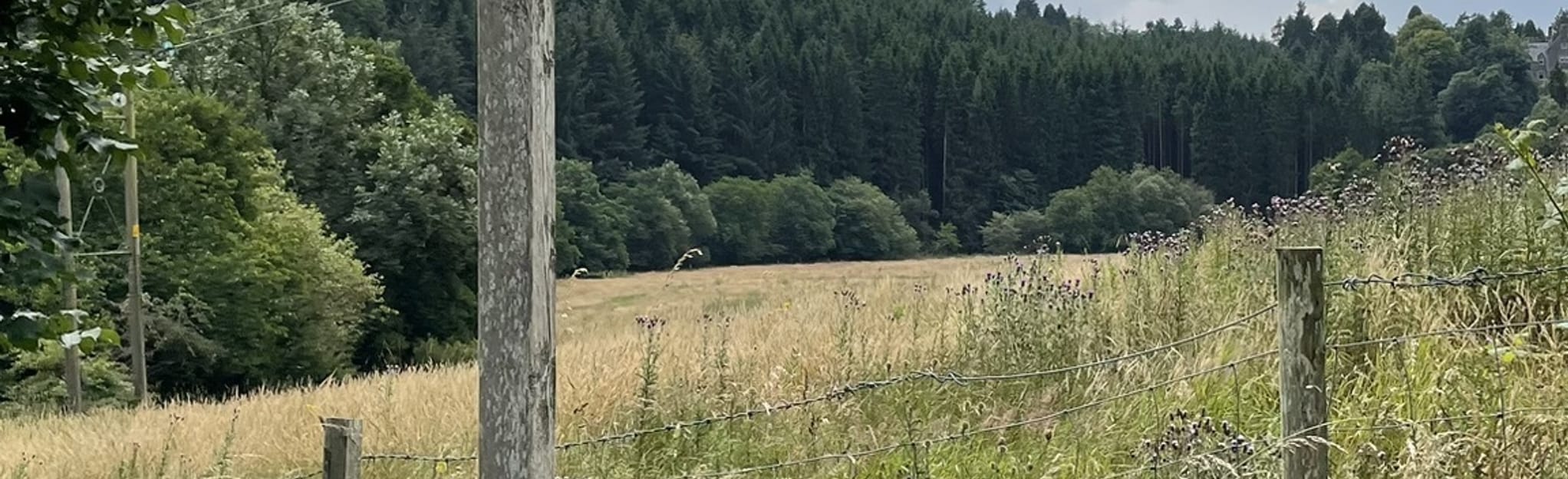 Cartland Craigs, South Lanarkshire, Scotland - 21 Reviews, Map | AllTrails