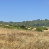 Alston Park Loop Trail, California - 1,014 Reviews, Map | AllTrails