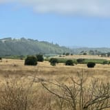 Alston Park Loop Trail, California - 1,014 Reviews, Map | AllTrails