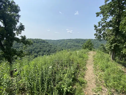 Best 10 Hikes and Trails in Hixon Forest | AllTrails