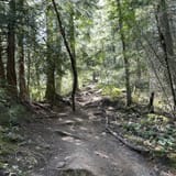 Chuckanut Ridge Trail, Washington - 403 Reviews, Map | AllTrails