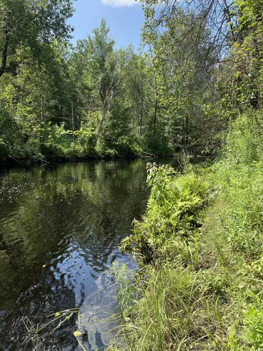 Best Forest Trails in Lyster | AllTrails