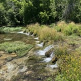 Cascade Springs Interpretive Trail, Utah - 432 Reviews, Map | AllTrails