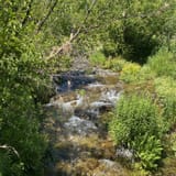 Cascade Springs Interpretive Trail, Utah - 432 Reviews, Map | AllTrails