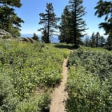 Mores Mountain Loop, Idaho - 464 Reviews, Map | AllTrails