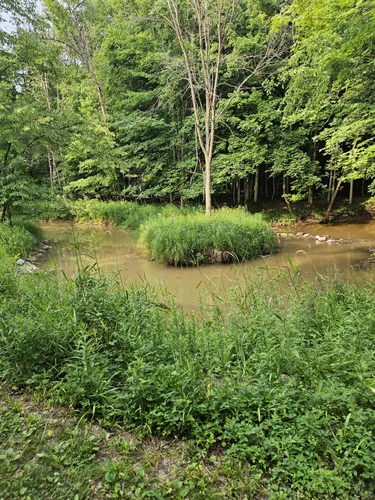 Best Bird Watching Trails in Combined Locks | AllTrails