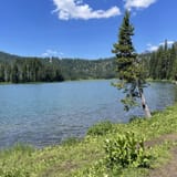 Todd Lake Loop, Oregon - 693 Reviews, Map | AllTrails