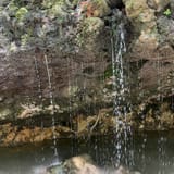 Dripping Rock Falls, Utah - 728 Reviews, Map | AllTrails