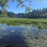 Tradition Lake Loop Trail, Washington - 1,473 Reviews, Map | AllTrails