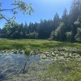 Tradition Lake Loop Trail, Washington - 1,473 Reviews, Map | AllTrails
