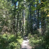 Tradition Lake Loop Trail, Washington - 1,473 Reviews, Map | AllTrails