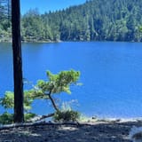 Kent Lake via Candalero Canyon Loop, California - 442 Reviews, Map ...